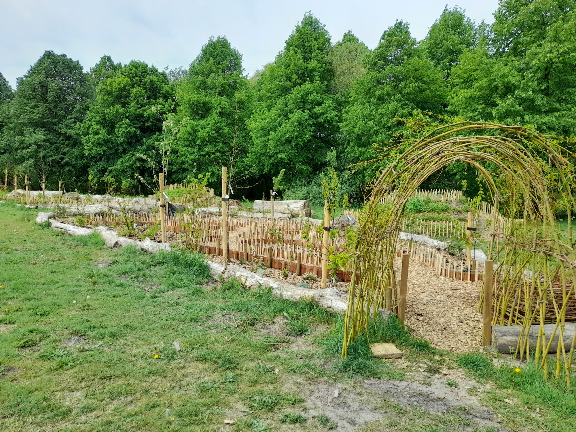 Biook - Distributed Design Platform